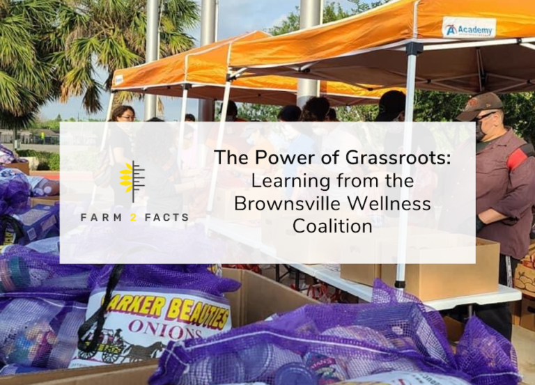 The Power of Grassroots: Learning from the Brownsville Wellness ...
