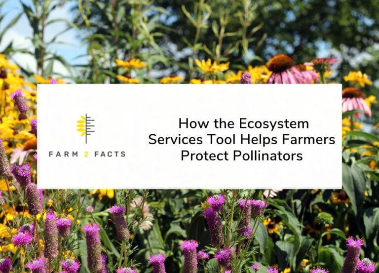 How The Ecosystem Services Tool Helps Farmers Protect Pollinators ...